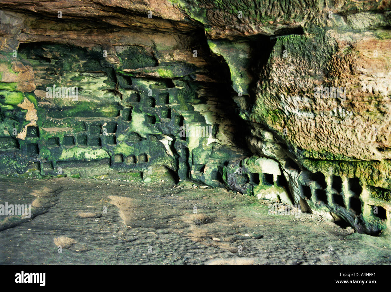 Wemyss caves fife hi-res stock photography and images - Alamy