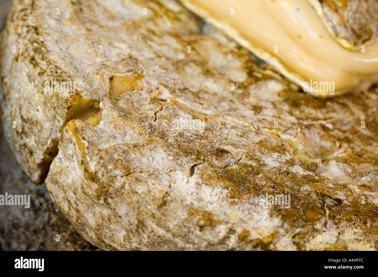 Canelli Province Asti Piedmont Piemonte Italy historic city game ...