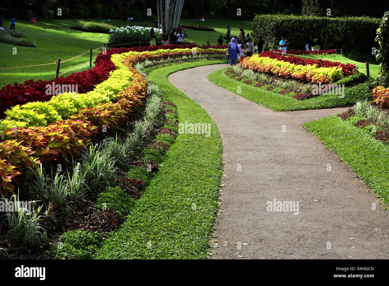 Horizontal landscape detail of path, bright colour flowers and green ...