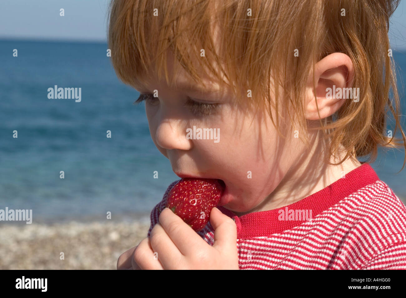 Child eats a strawberry Stock Photo - Alamy