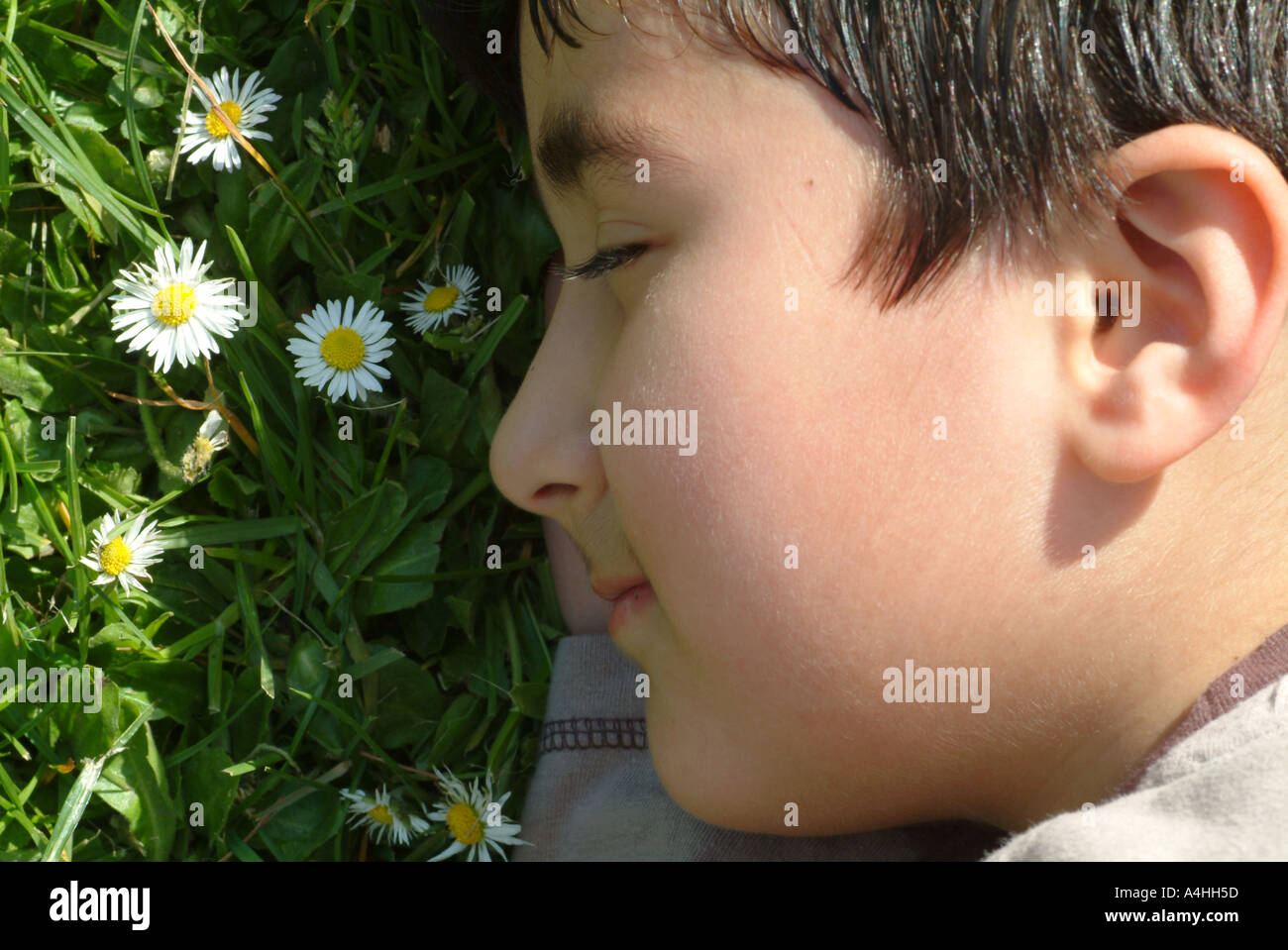BOY SLEEPING ON GRASS Stock Photo - Alamy