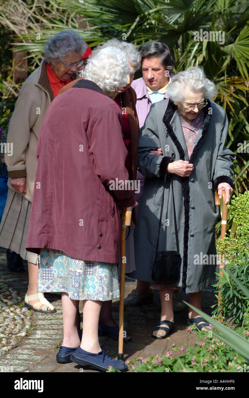 Elderly support group hi-res stock photography and images - Alamy
