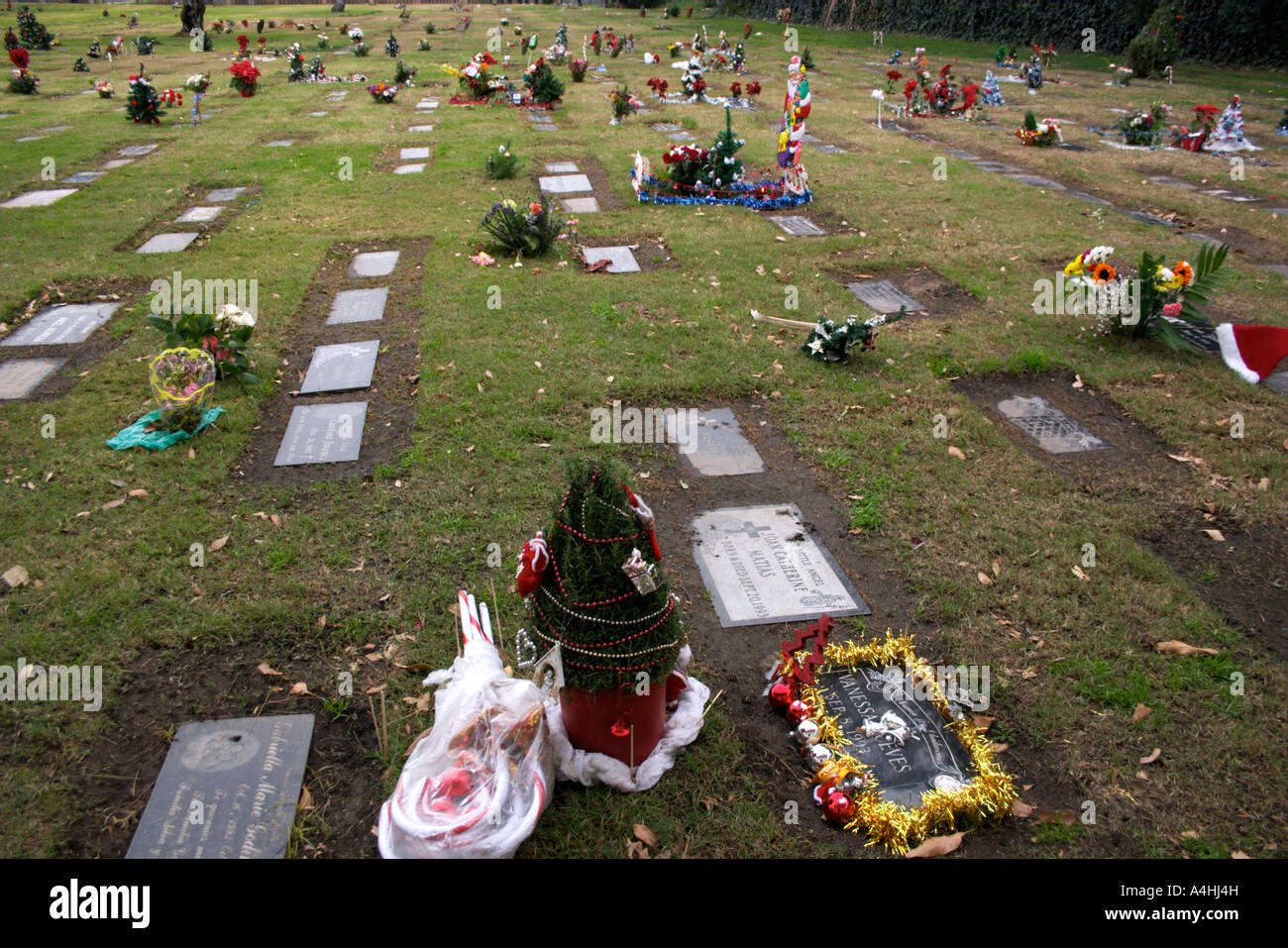 A Cemetery in Los Angeles, California, USA Stock Photo - Alamy
