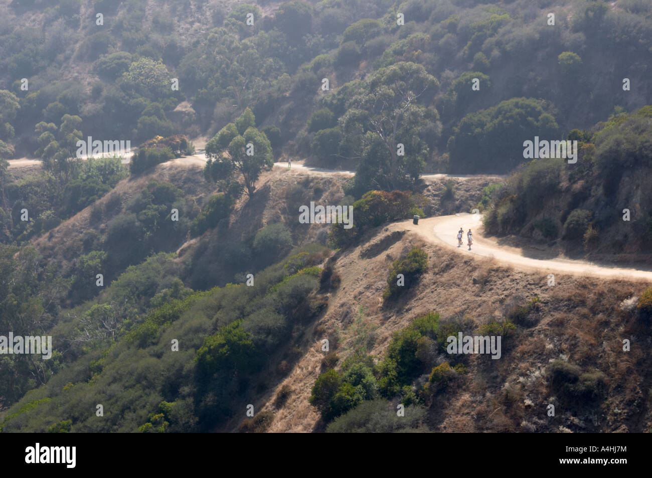Runyon Canyon Park, Hollywood, California Stock Photo - Alamy