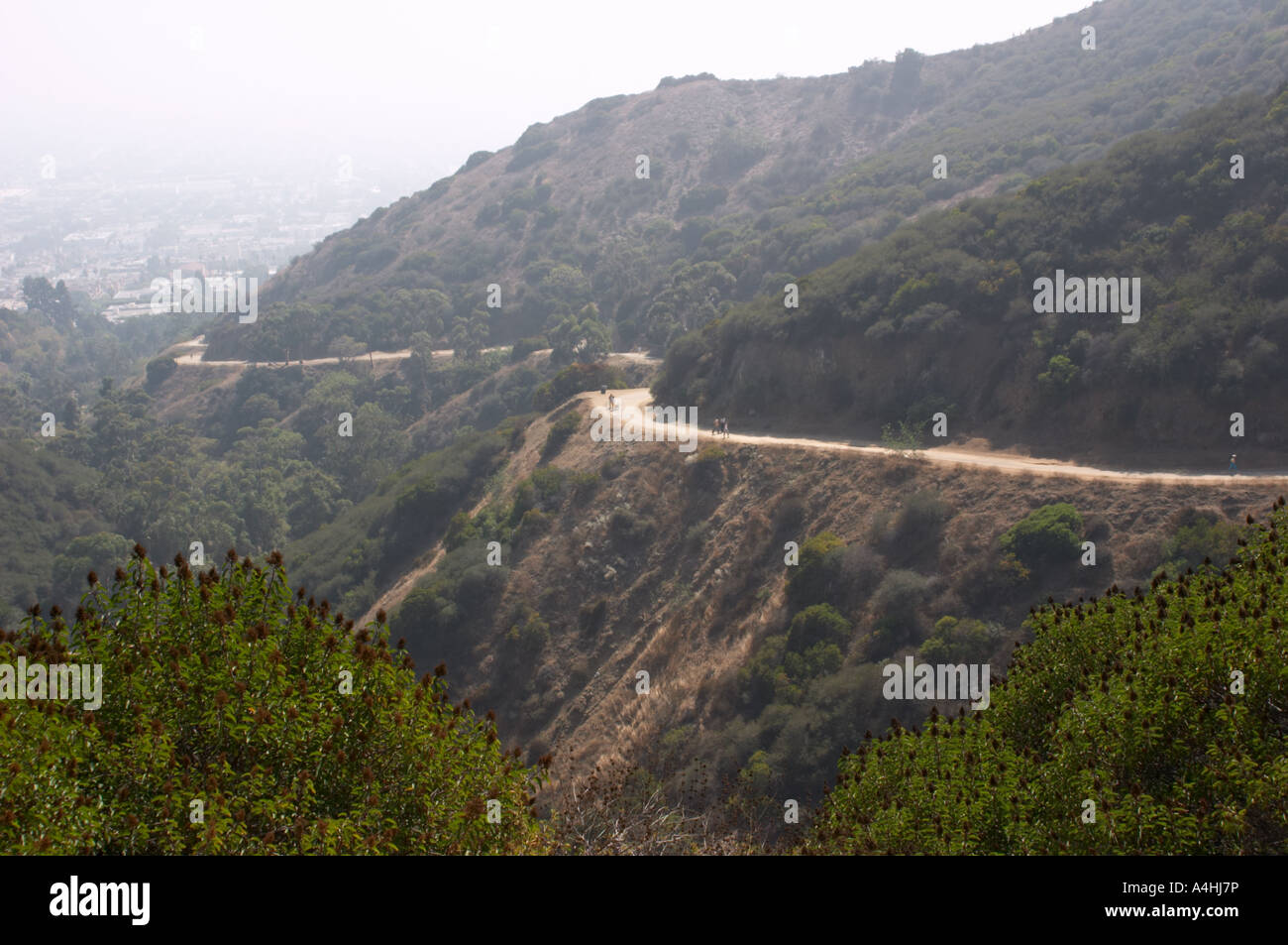 Runyon Canyon Park, Hollywood, California Stock Photo - Alamy
