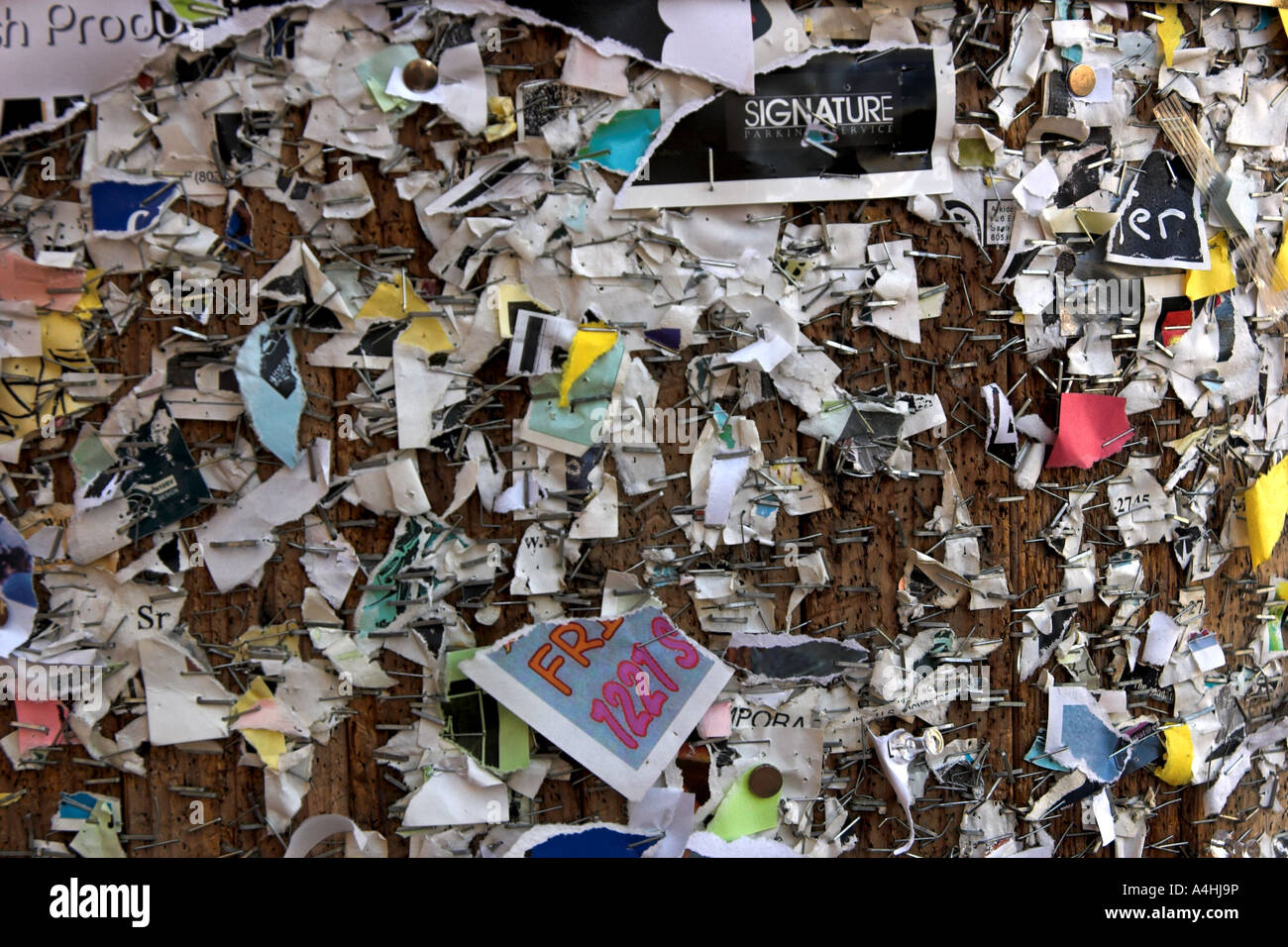 Tiny Pieces Of Life Stock Photo - Alamy