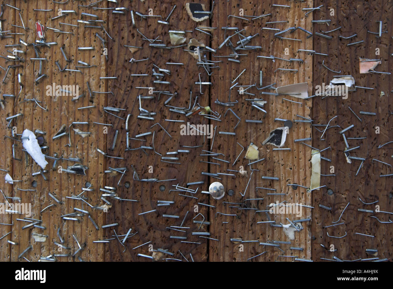 Tiny Pieces Of Life Stock Photo - Alamy