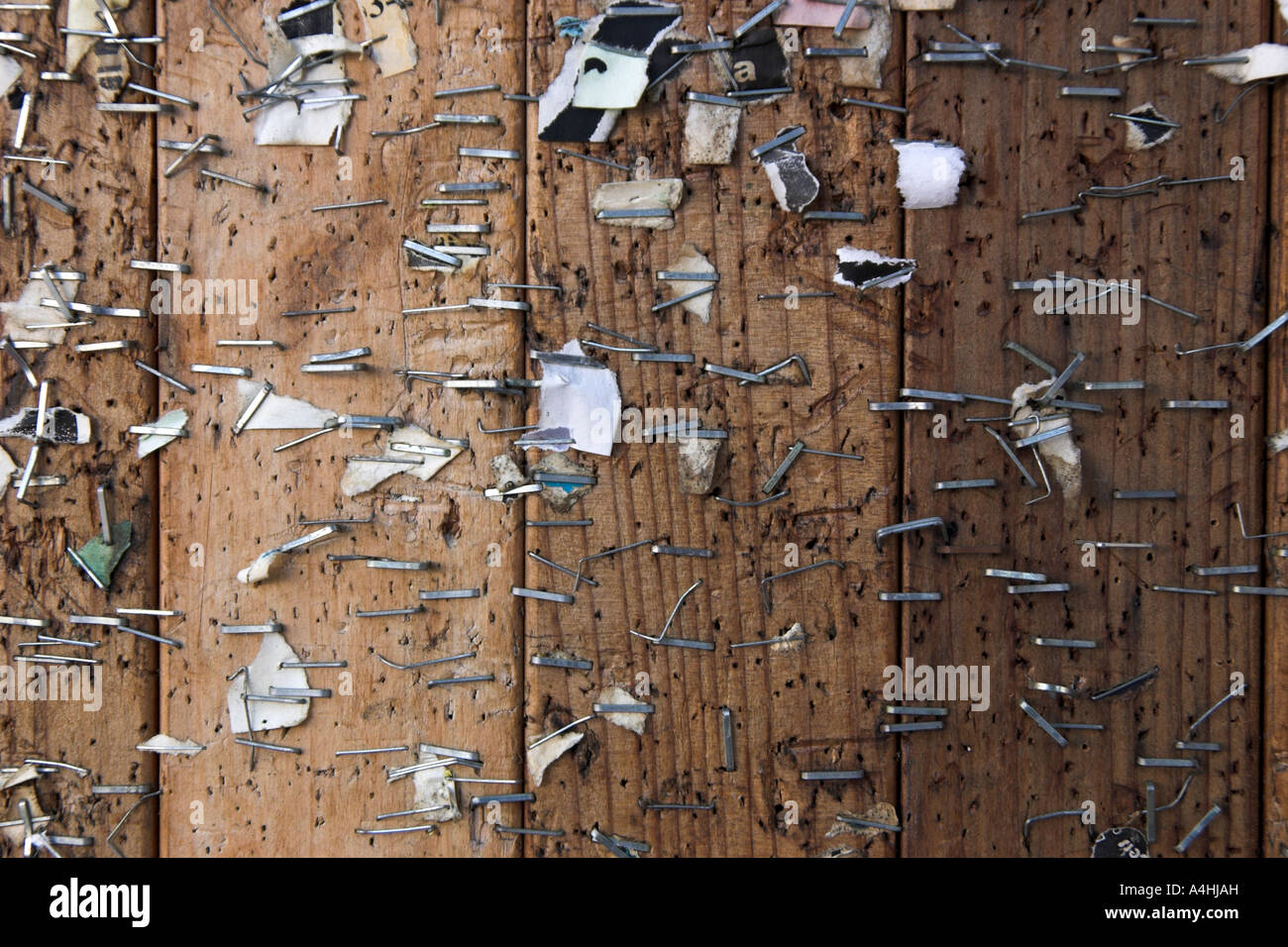 Tiny Pieces Of Life Stock Photo - Alamy