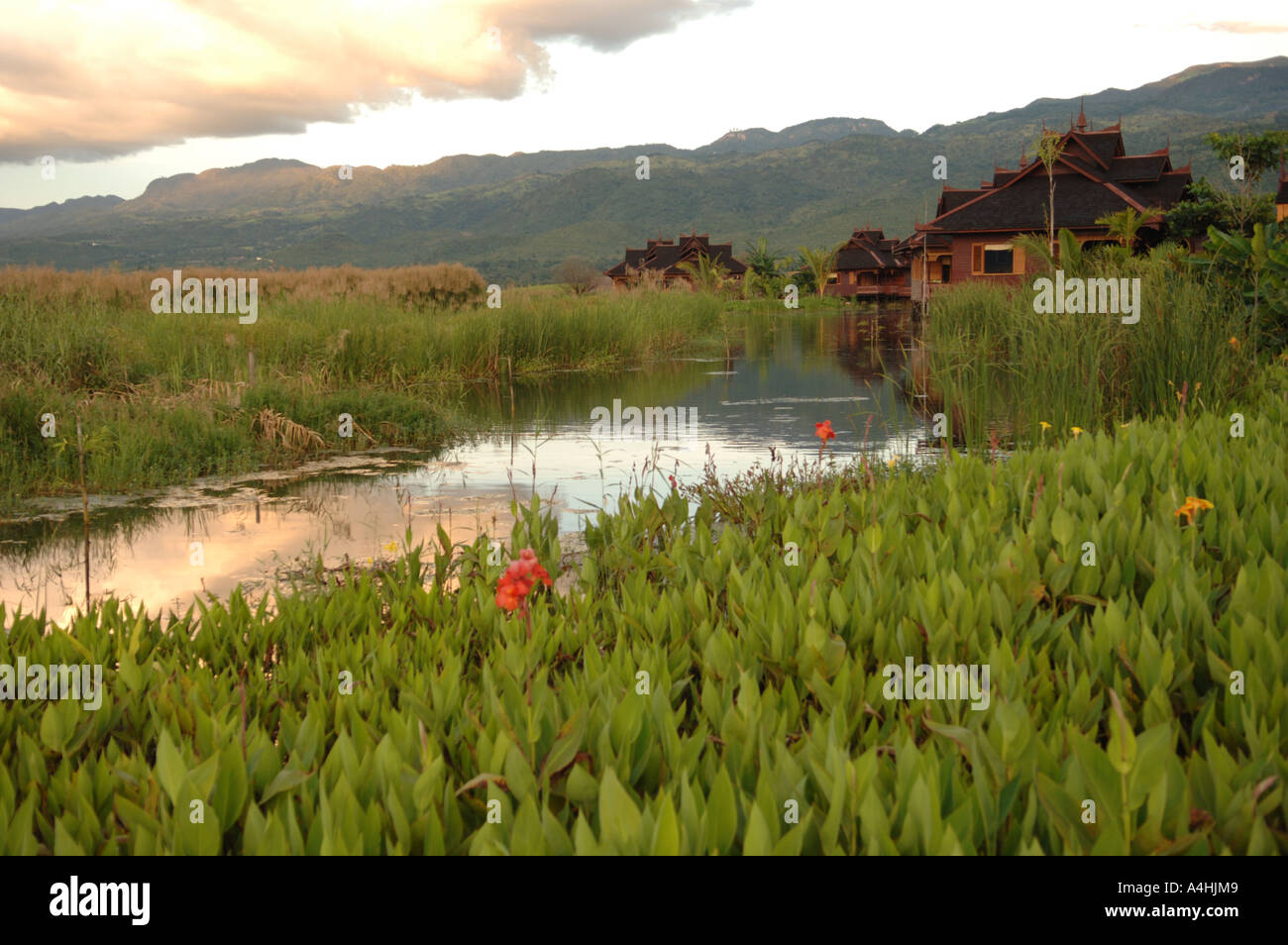 Myanmar Inle Lake Stock Photo - Alamy