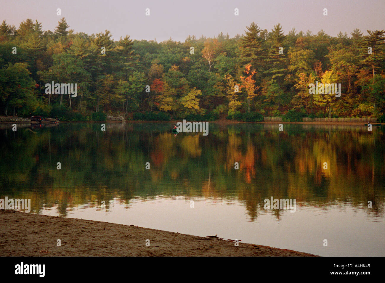Walden pond massachusetts hi-res stock photography and images - Alamy