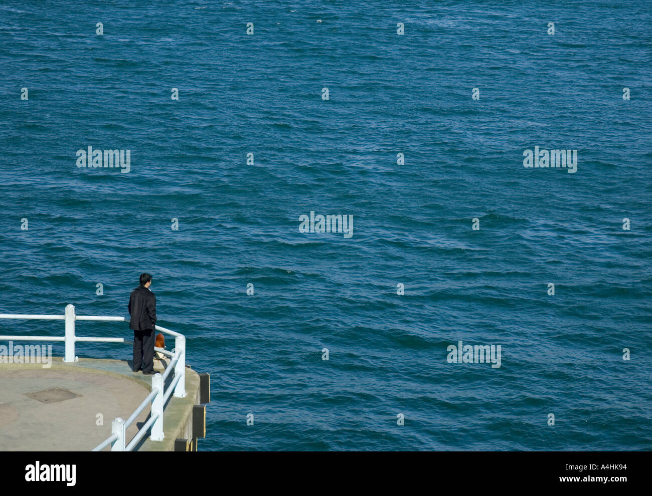 Gazing man in blue hi-res stock photography and images - Alamy