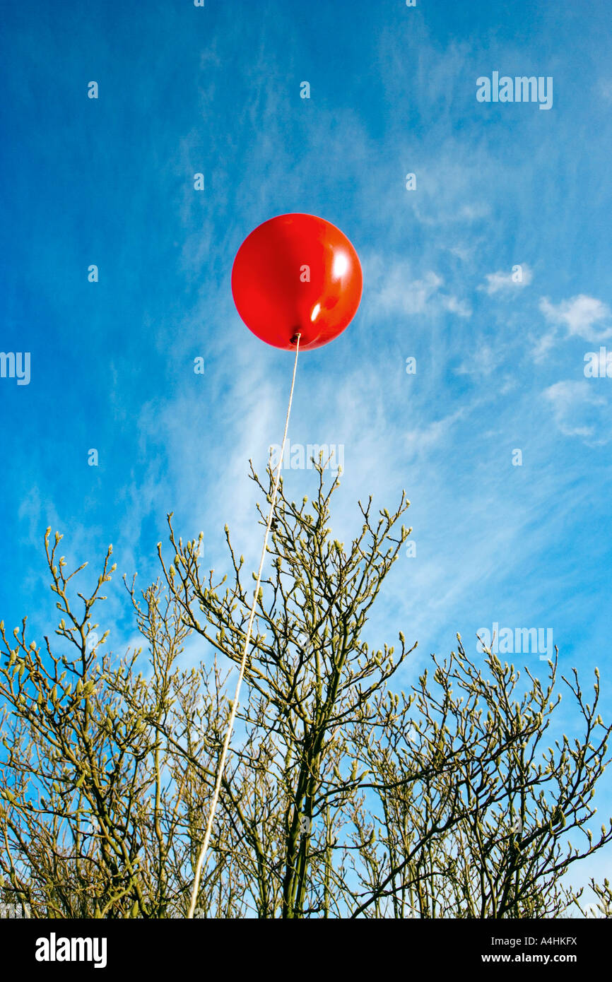 Red Balloon flying up into the sky Stock Photo - Alamy