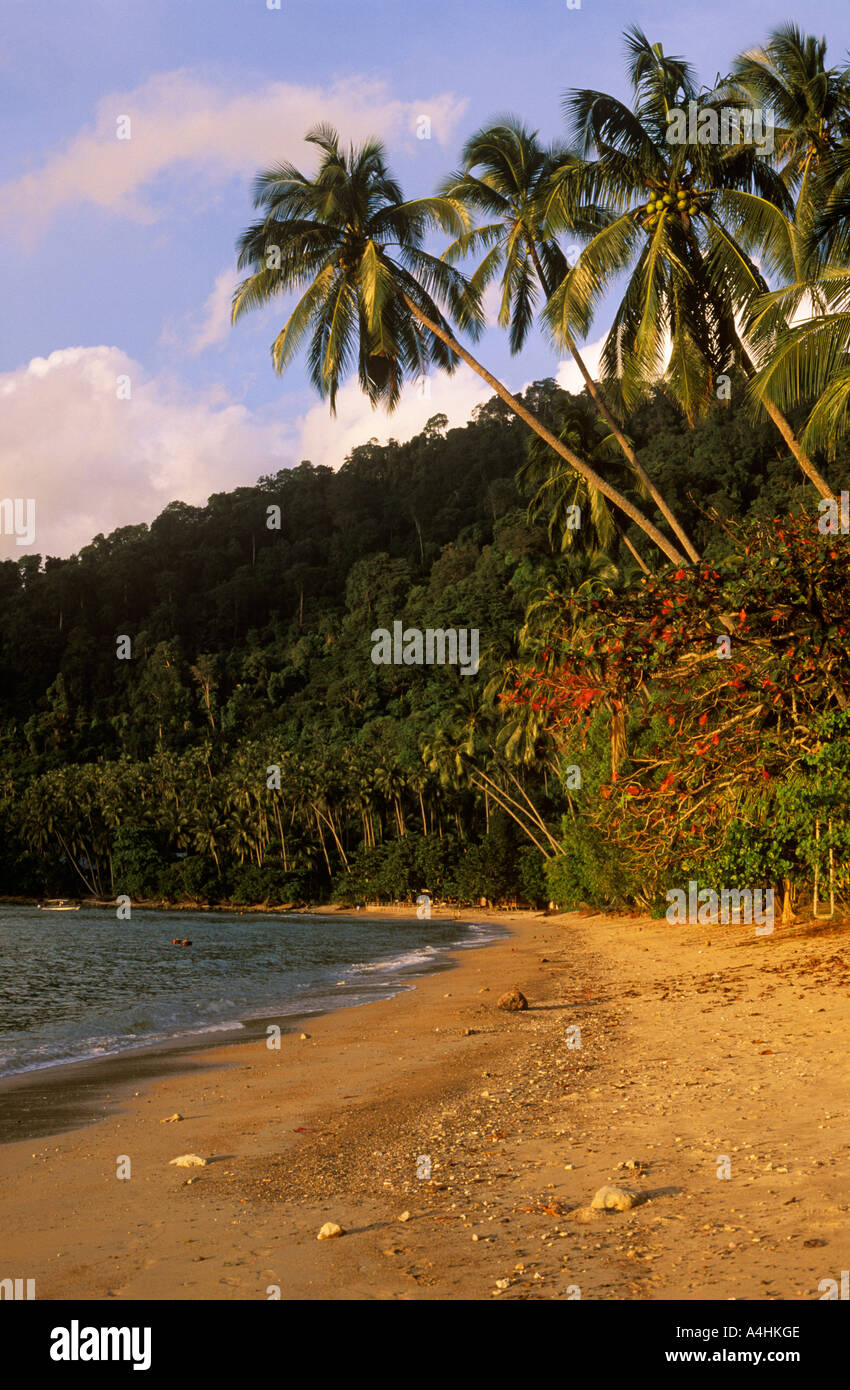 Tekek beach malaysia hi-res stock photography and images - Alamy