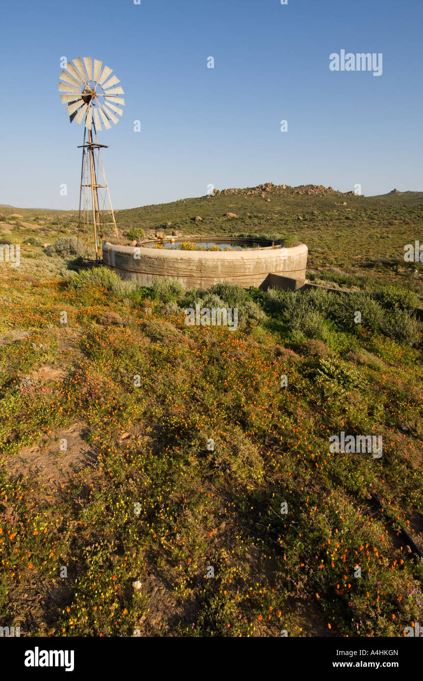 Borehole water south africa hi-res stock photography and images - Alamy