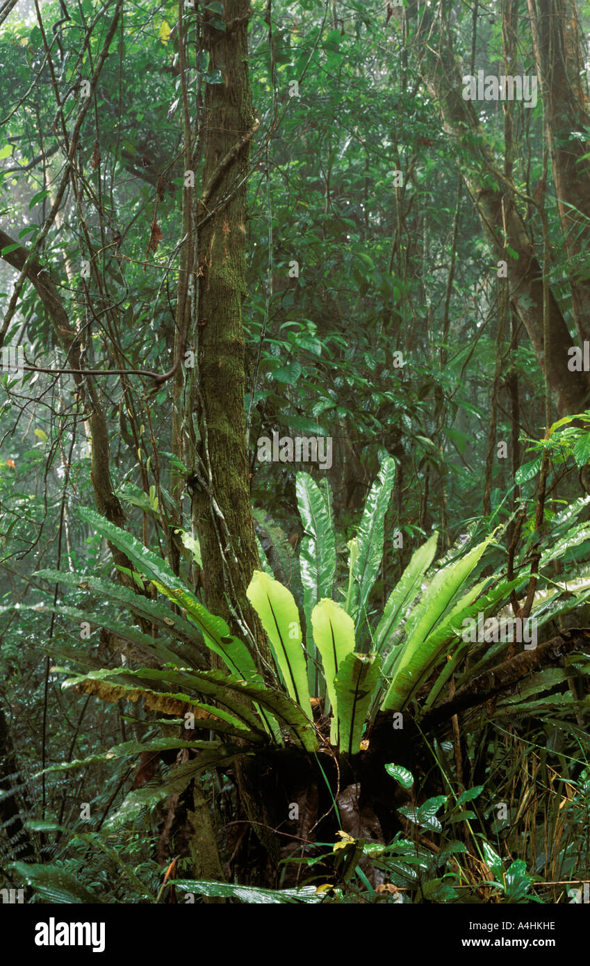 Maxwell hill hi-res stock photography and images - Alamy