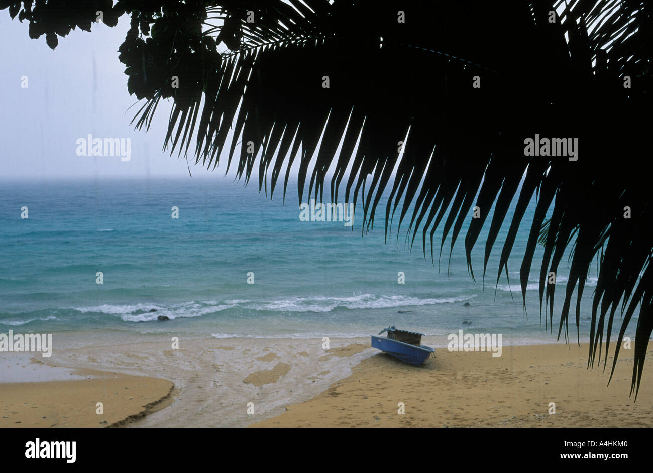 Panuba hi-res stock photography and images - Alamy