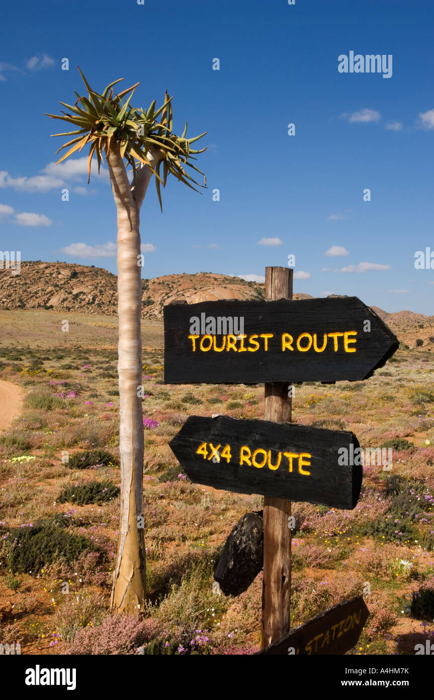 Namaqualand goegap nature reserve hi-res stock photography and images ...