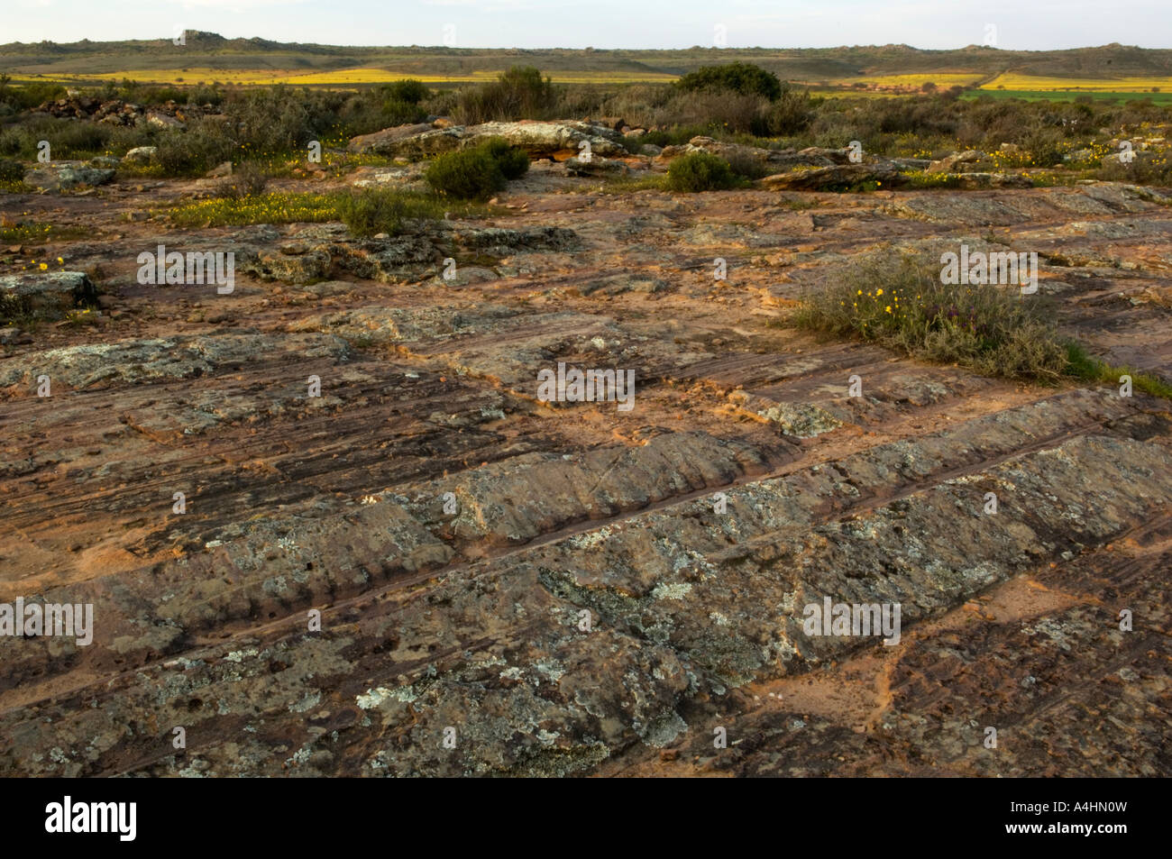 Glacial striation africa hi-res stock photography and images - Alamy
