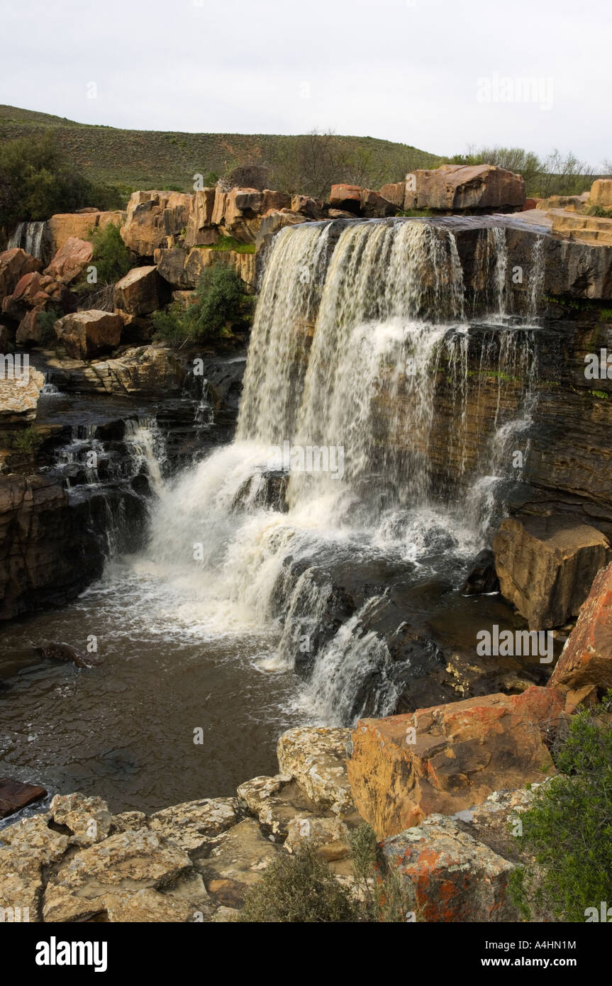 Doring hi-res stock photography and images - Alamy