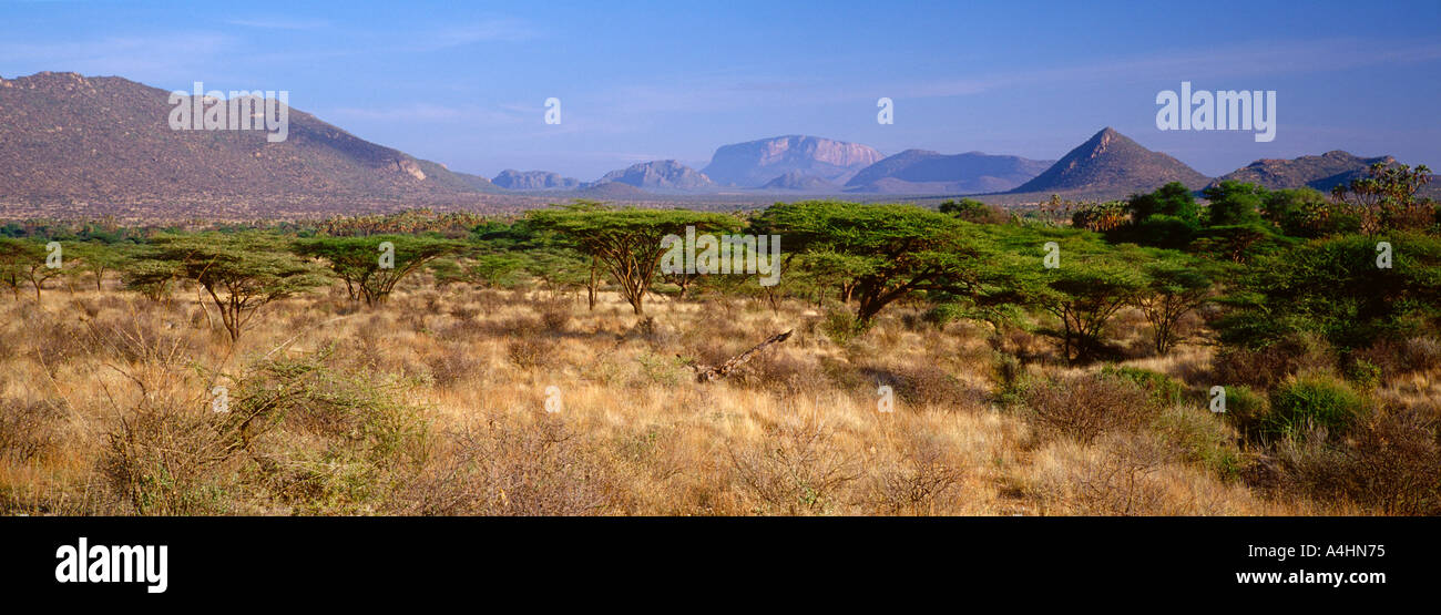 Landscape Samburu Game Reserve Kenya Stock Photo - Alamy