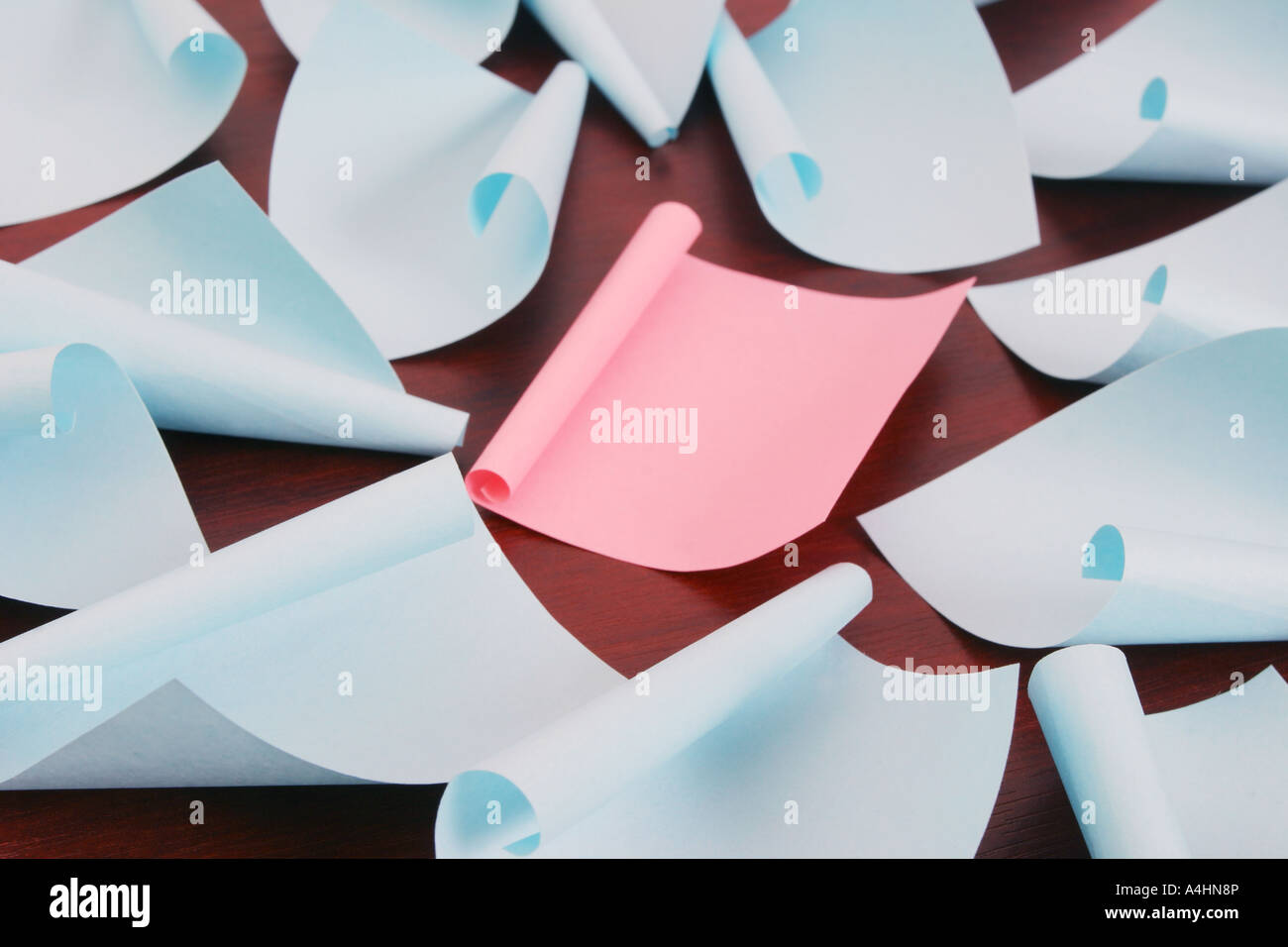 A blank pink post-it note surrounded by curled blue post-its on a ...