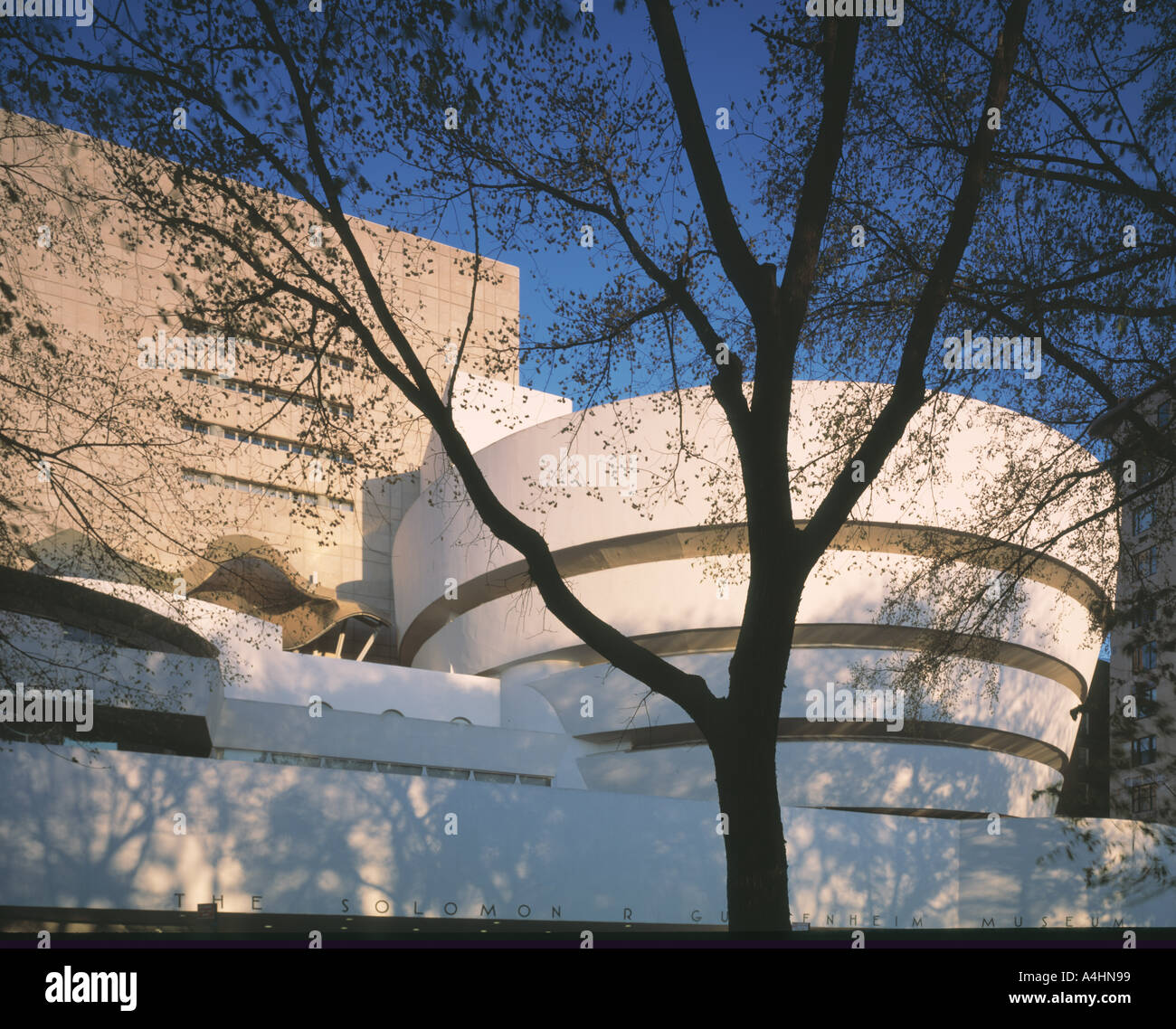 SOLOMON R GUGGENHEIM MUSEUM, NEW YORK, USA Stock Photo - Alamy