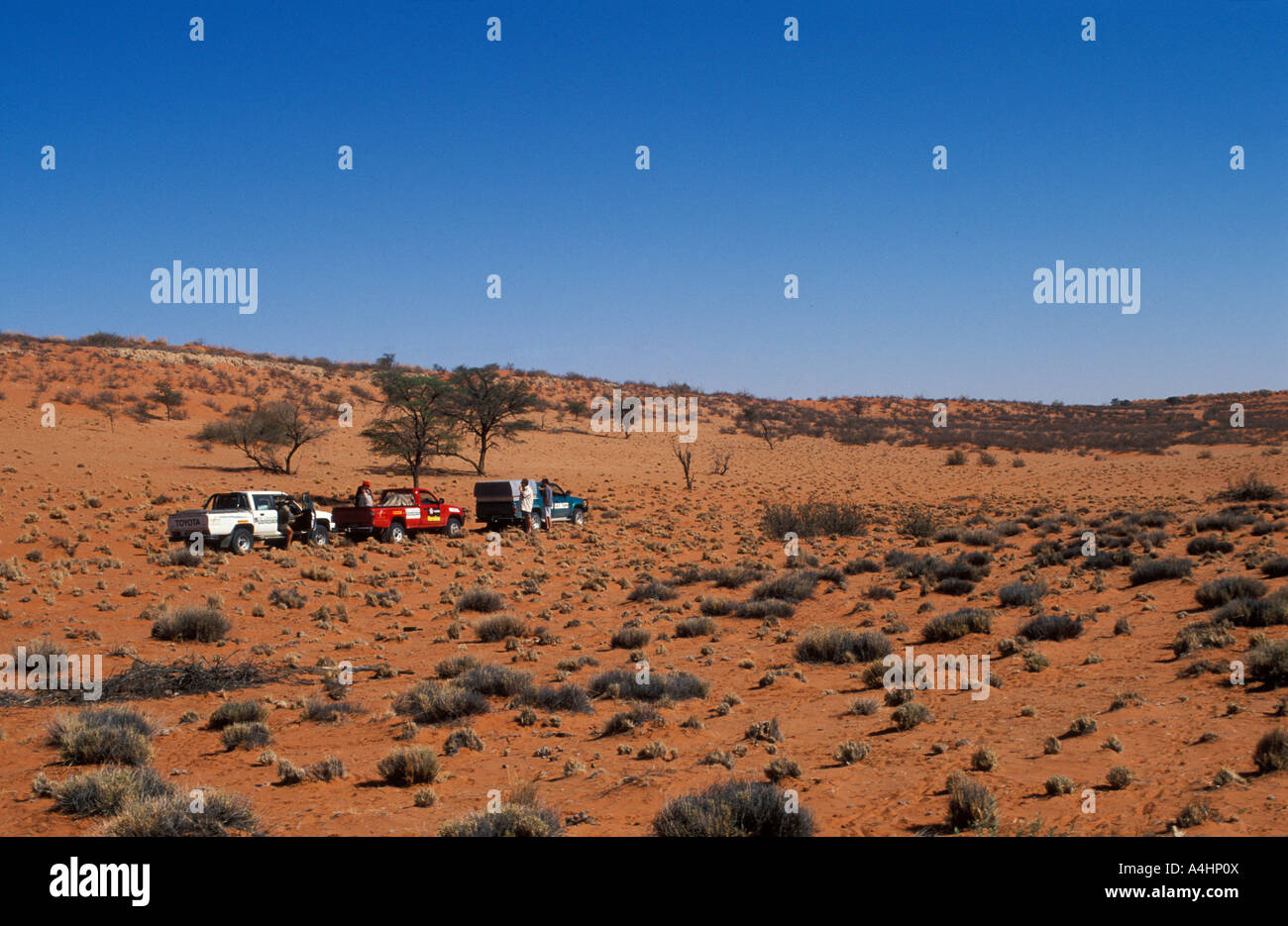 4x4 driving in the Kalahari Northern Cape South Africa Stock Photo - Alamy
