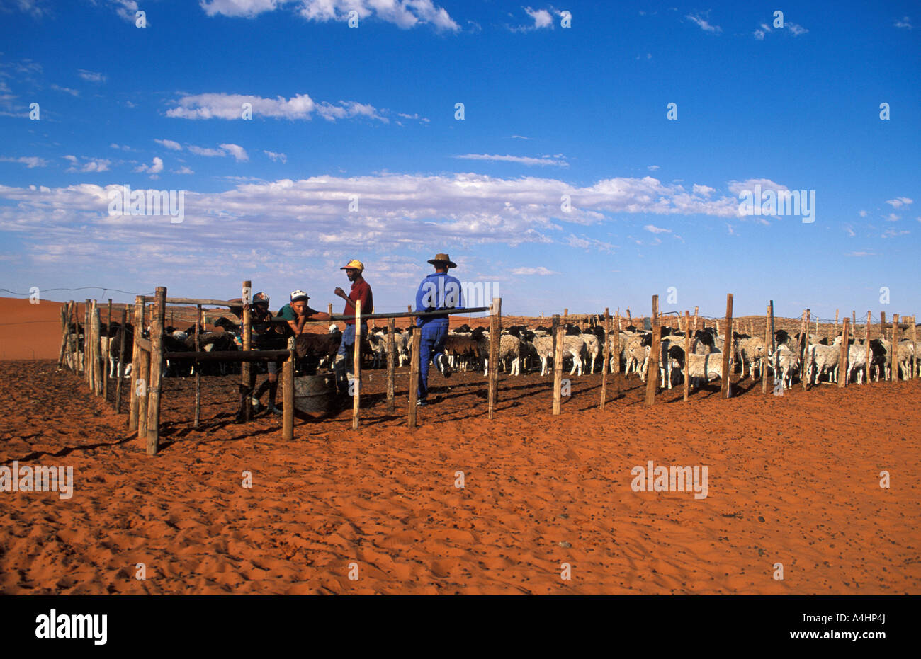Kalahari farming hi-res stock photography and images - Alamy
