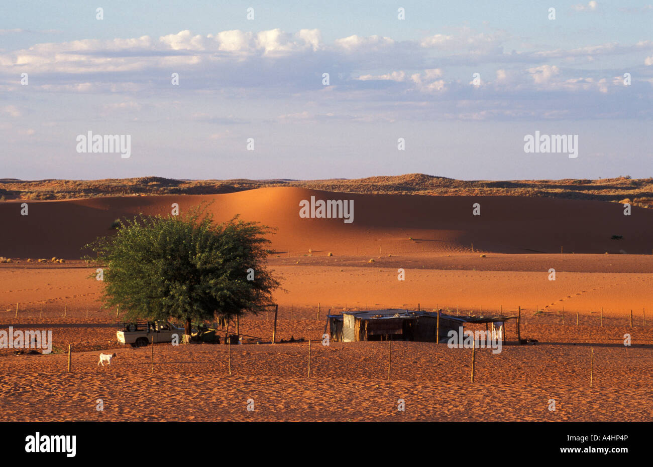 Kalahari farming hi-res stock photography and images - Alamy