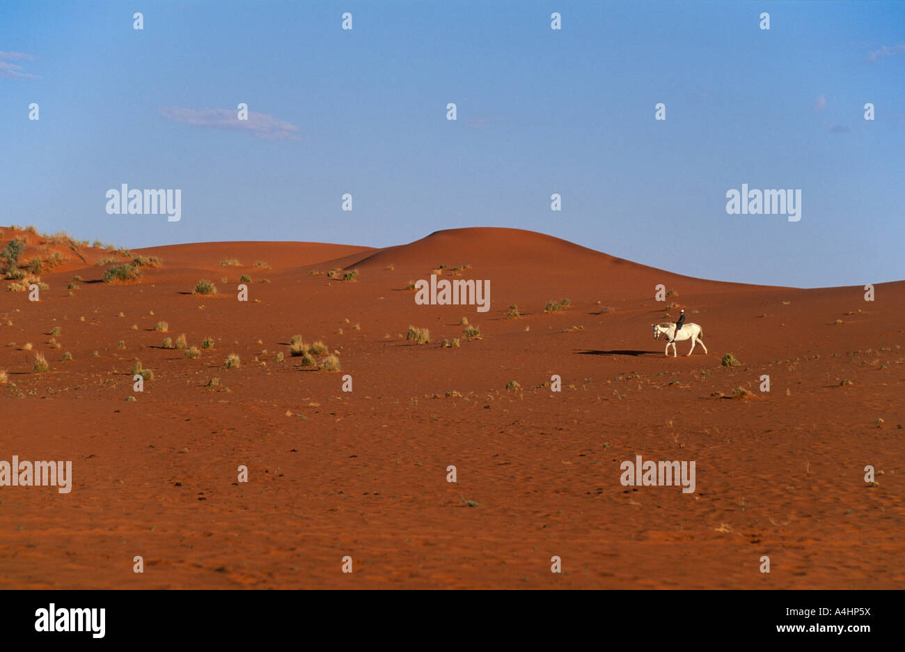 South africa kalahari desert hi-res stock photography and images - Alamy
