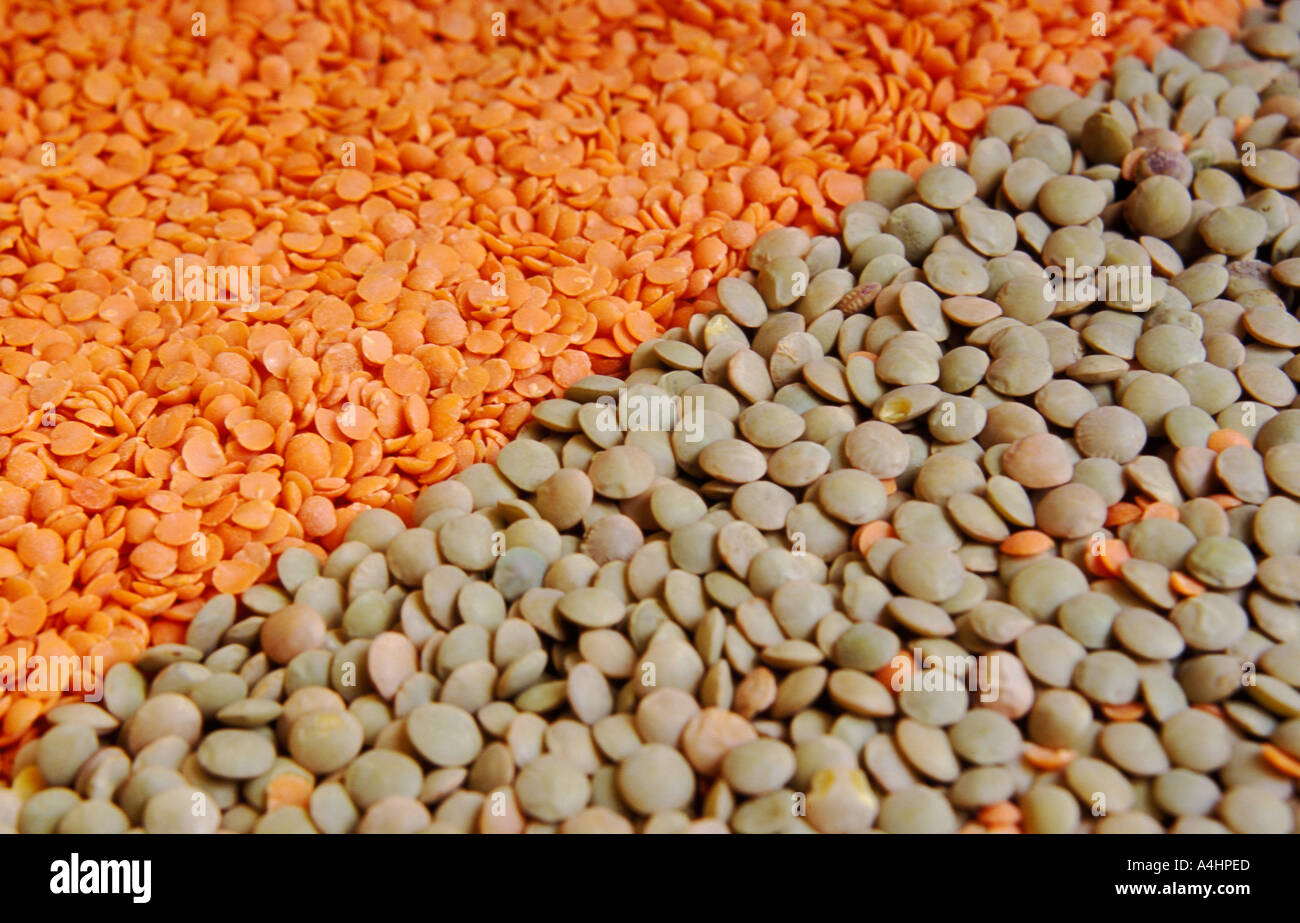 Red split lentils and continental lentils Stock Photo - Alamy