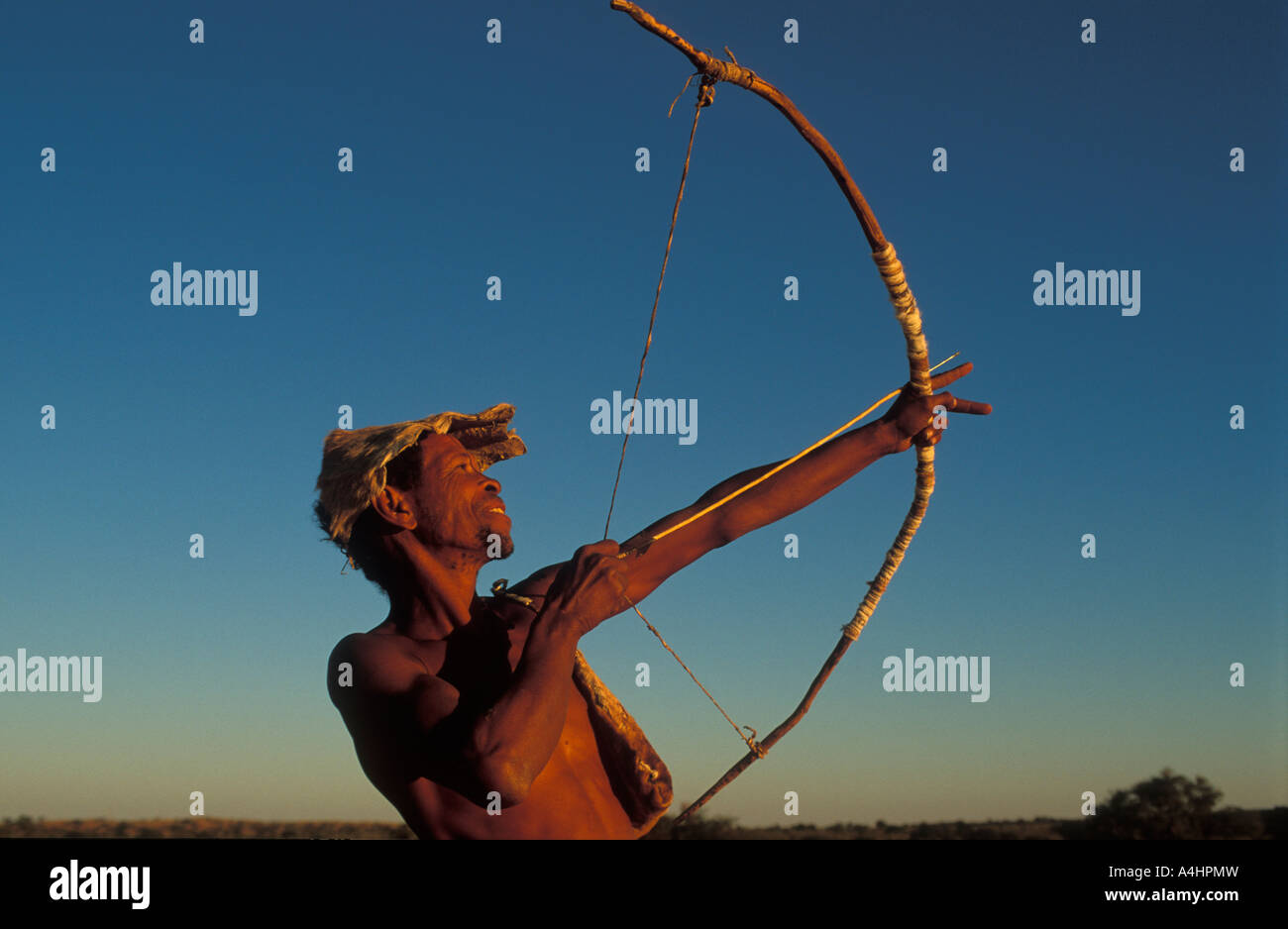 Bushman San man hunting with bow and arrow Kalahari Northern Cape South ...