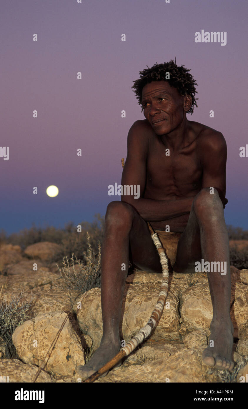 Bushman San man hunting with bow and arrow Kalahari Northern Cape South ...