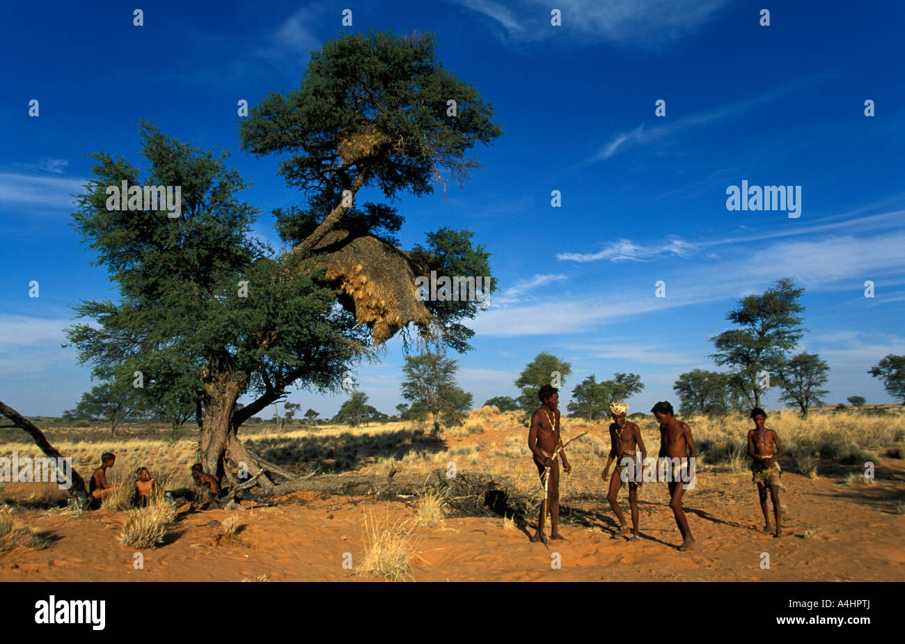 Khoisan Stock Photos & Khoisan Stock Images - Alamy