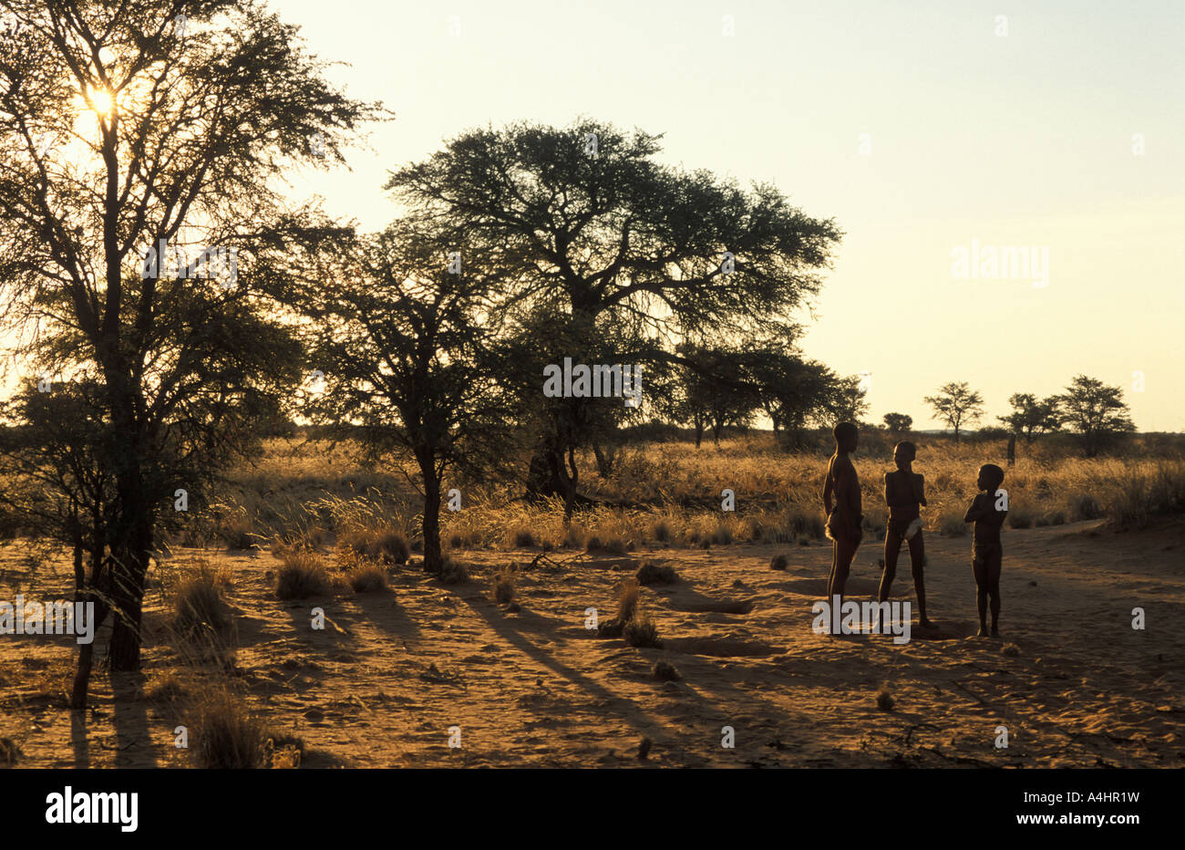 Bushman San children Kalahari Northern Cape South Africa Stock Photo ...
