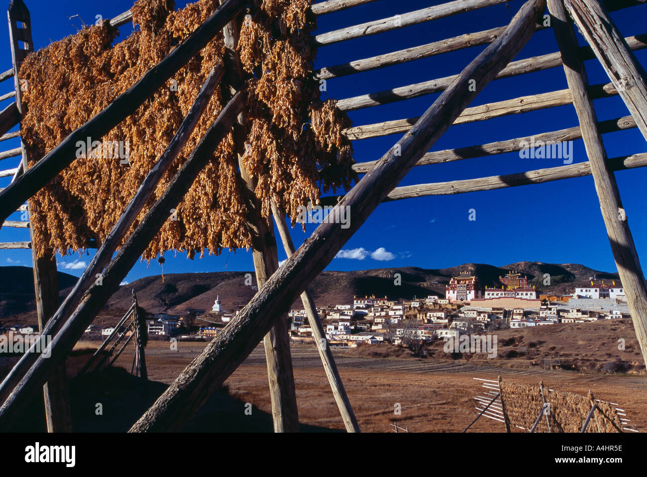Jietang Songlin Monastery outside Zhongdian with traditional farming ...