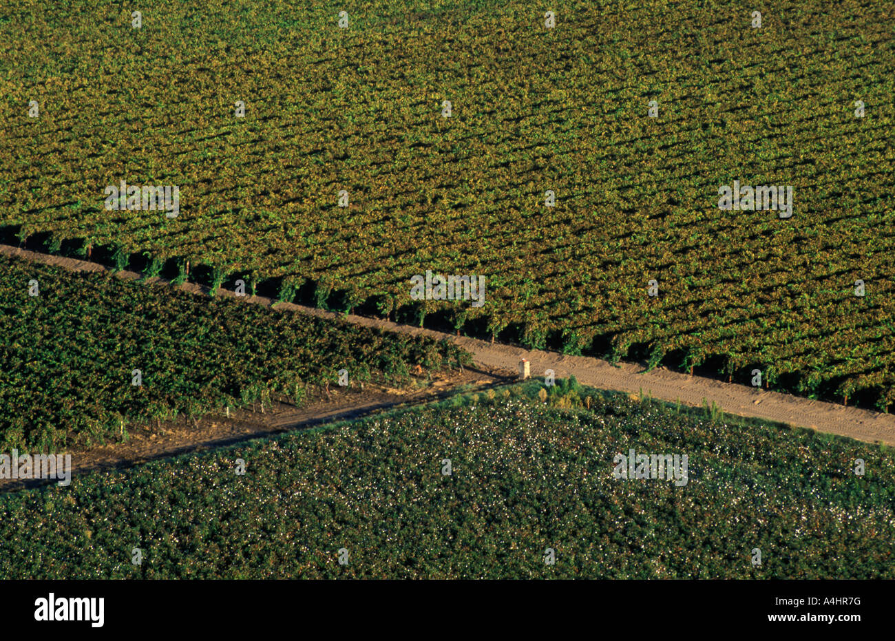 Orange River Farming Africa High Resolution Stock Photography and ...