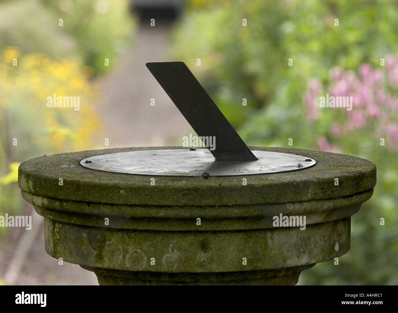 Sundial in natural English British garden setting Stock Photo - Alamy