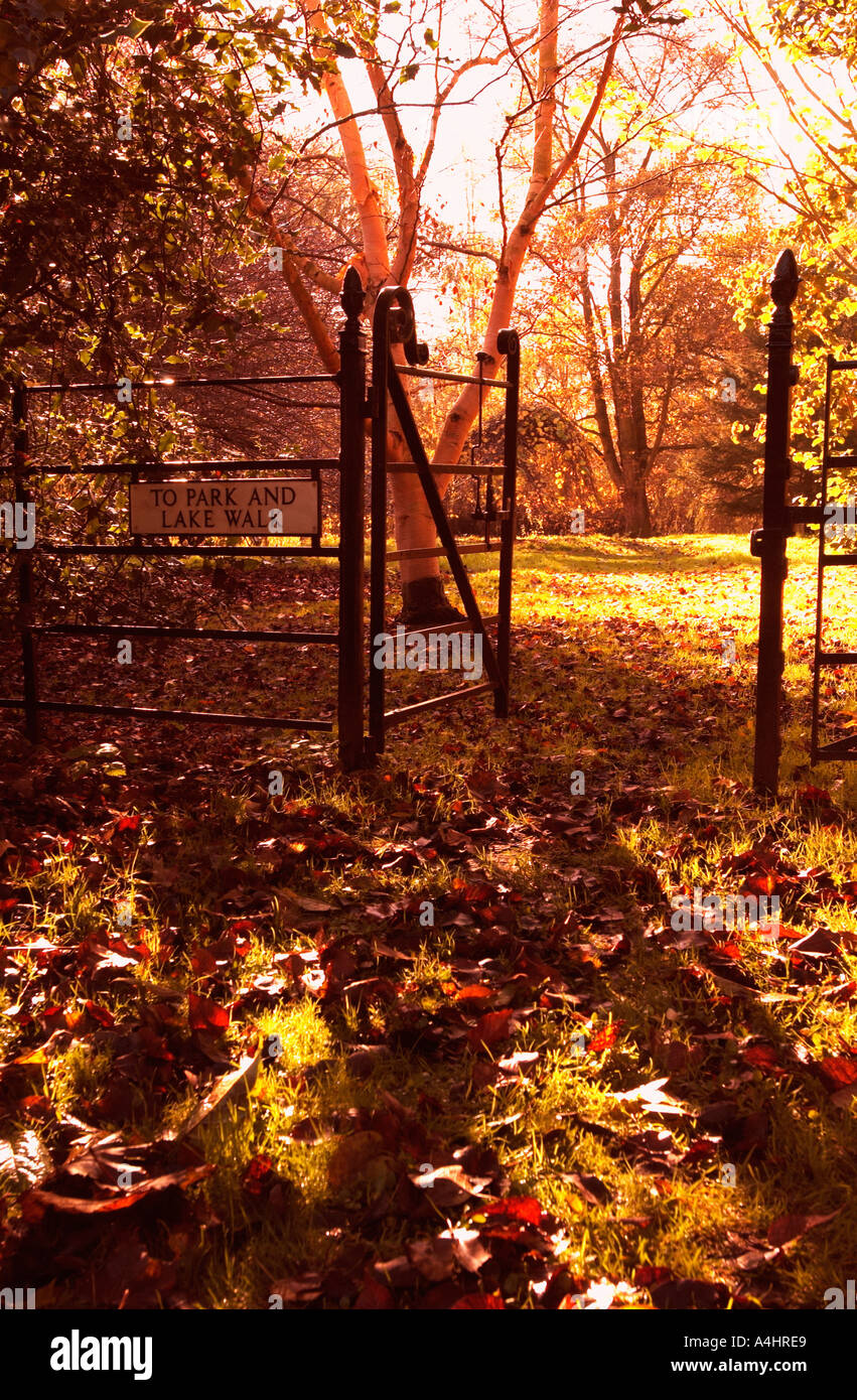 Open gate leading through to sunlit autumn trees Stock Photo - Alamy