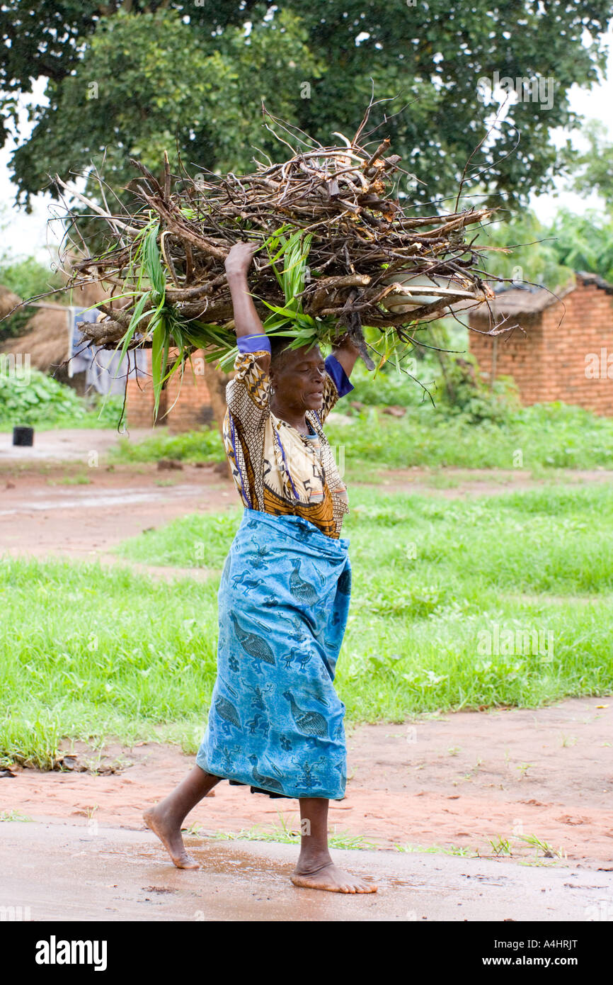 Woman carrying firewood during the wet rainy season in the village of ...