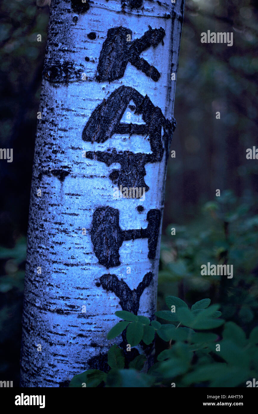 Name Carved Tree Trunk High Resolution Stock Photography and Images - Alamy