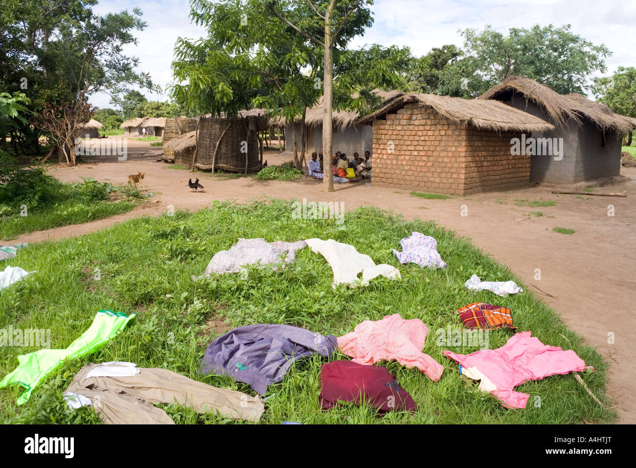Laundry dryer in grass hi-res stock photography and images - Alamy