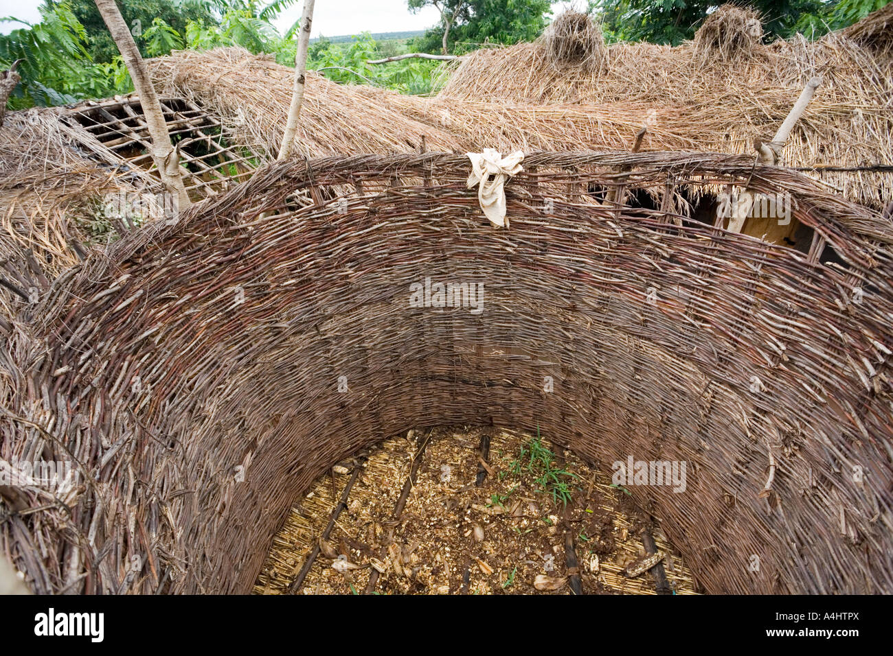Empty grain store, garner (nkhokhwe) for maize cobs in the village of ...