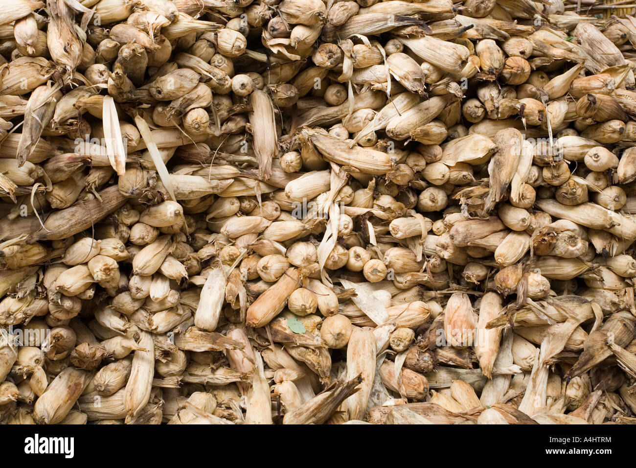 Maize storage africa hi-res stock photography and images - Alamy
