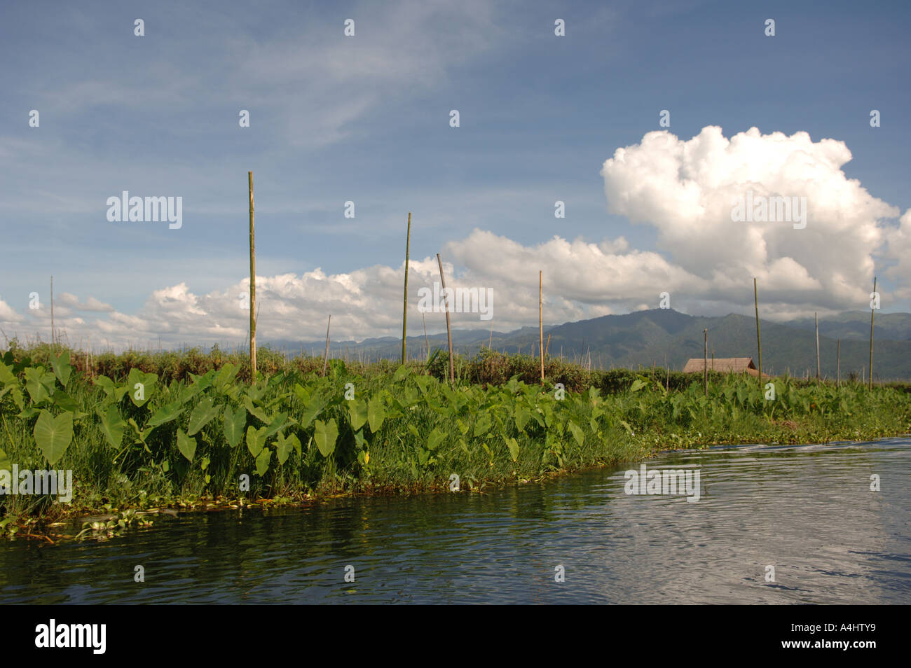 Myanmar Inle Lake Stock Photo - Alamy