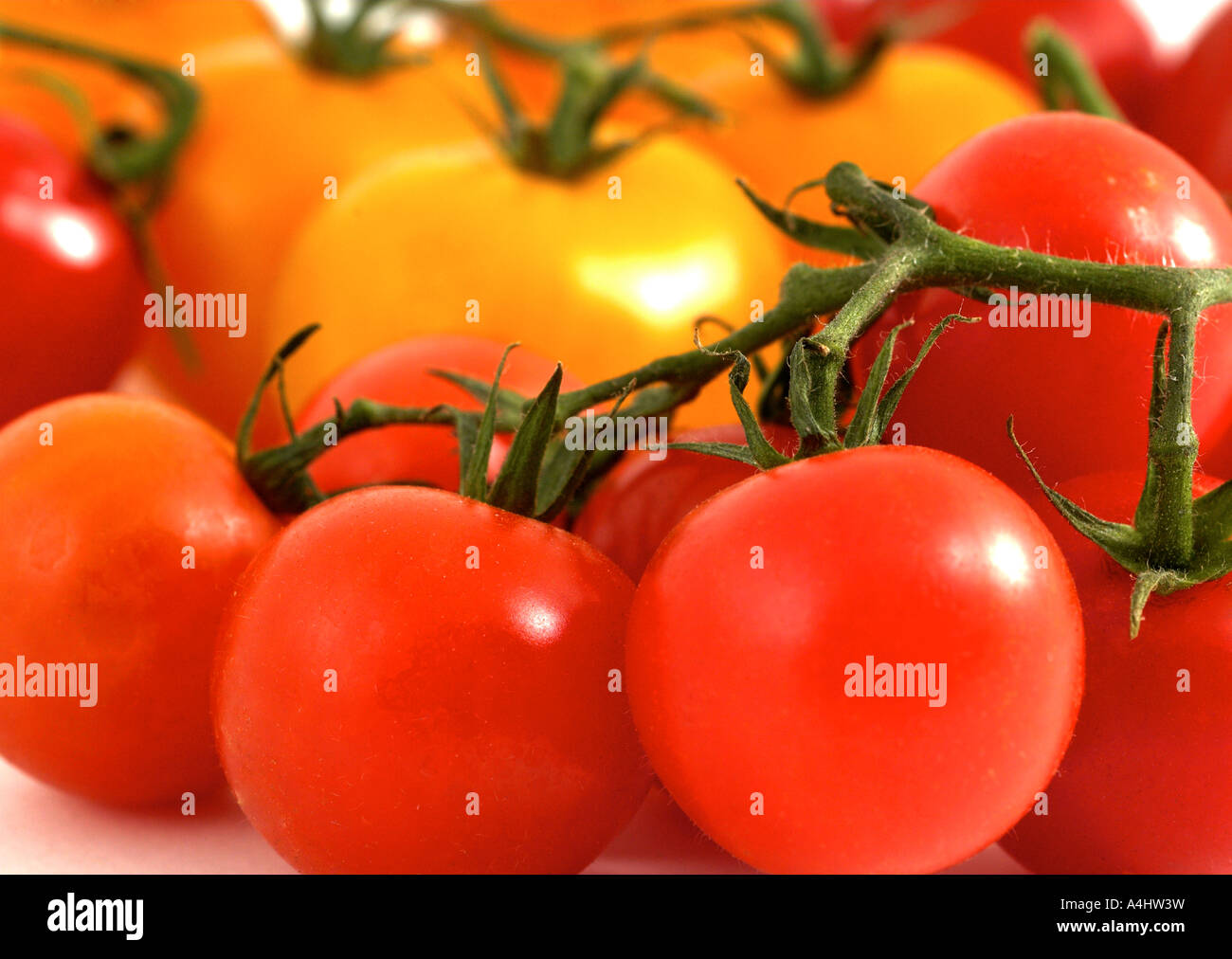 Vine tomatoes hi-res stock photography and images - Alamy