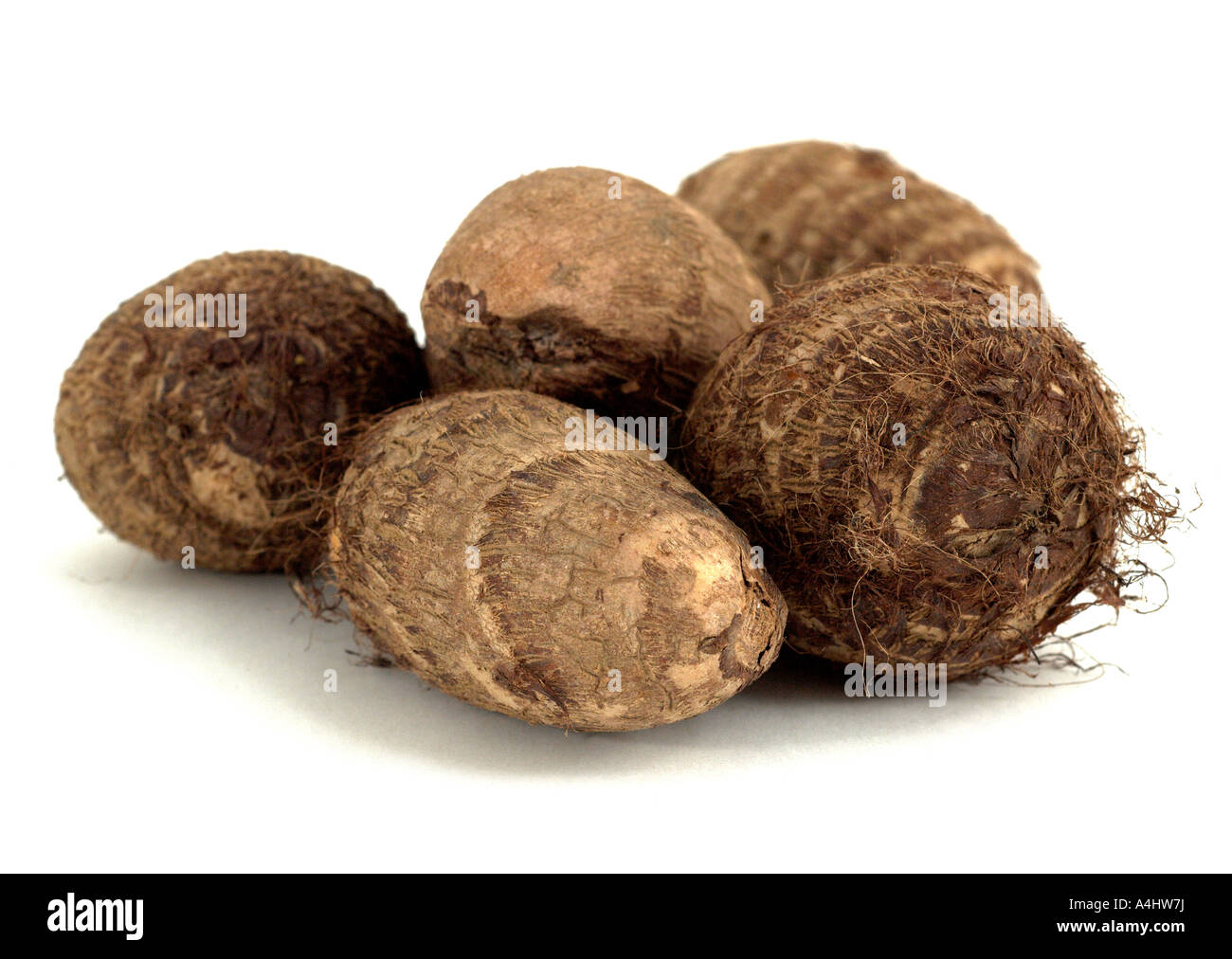 Eddo hi-res stock photography and images - Alamy