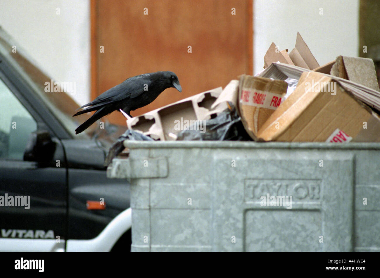 Rummaging bins hi-res stock photography and images - Alamy