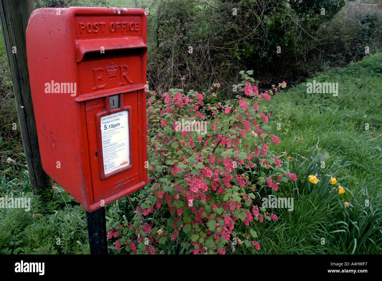 red village letter box or post box on a post in the countryside Stock ...