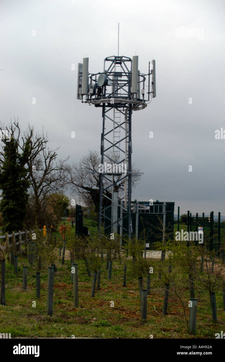 radio transmission aerial for mobile phones with new trees planted uk ...